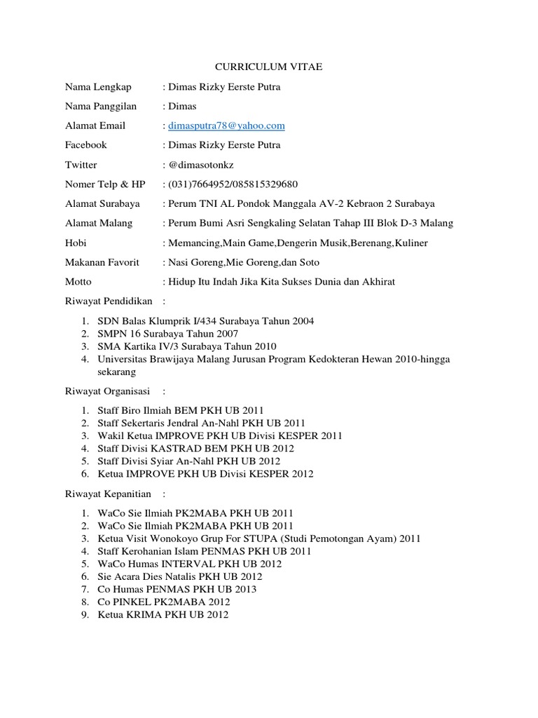 Curriculum Vitae Dimas | PDF