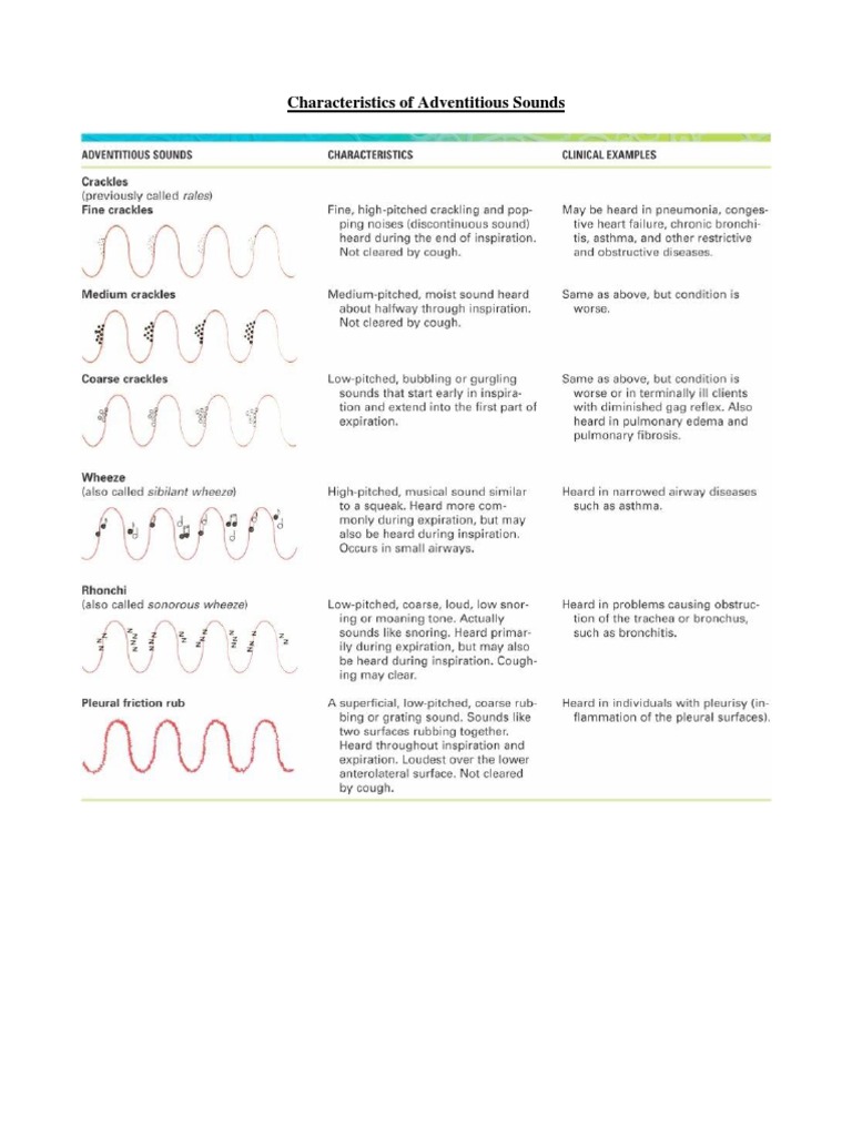 Understanding Adventitious Lung Sounds | PDF