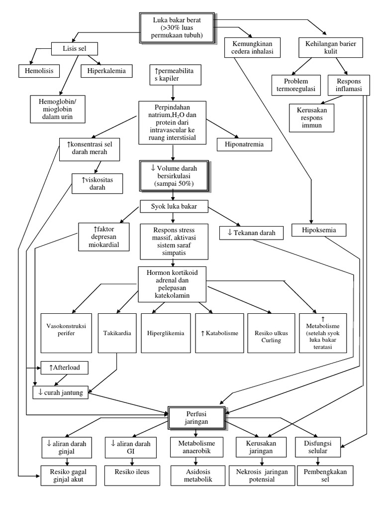 Pathway Luka Bakar | PDF