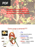 Sementes Recalcitrantes e Ortodoxas | PDF | Semente | Umidade