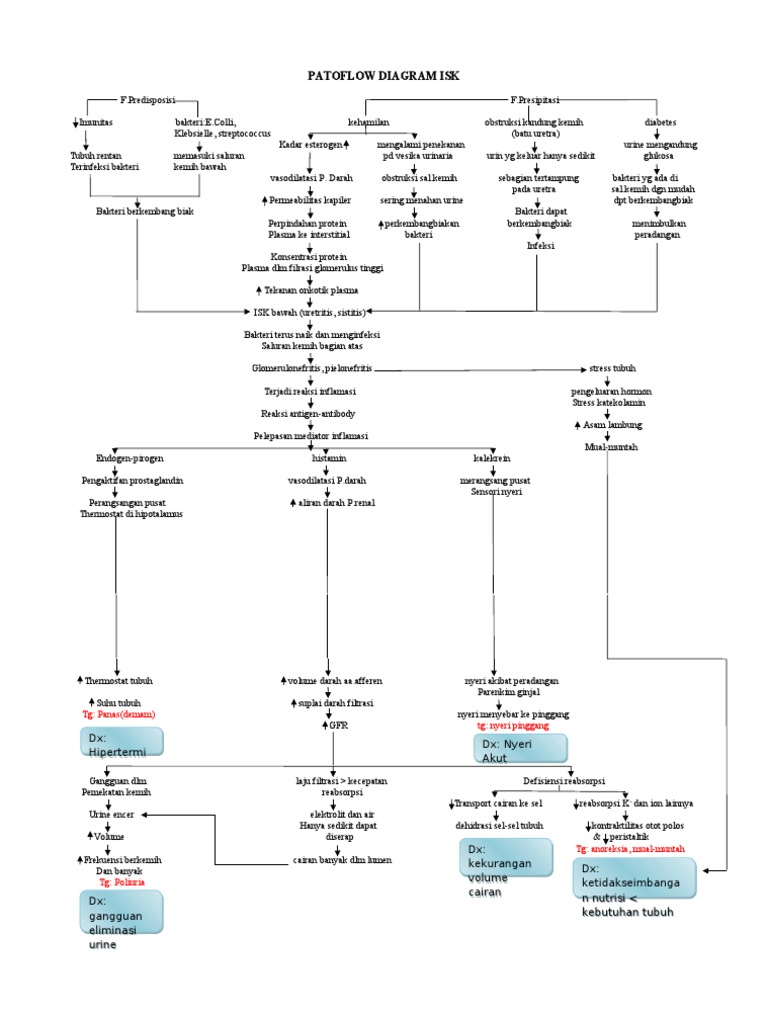 Pathway ISK | PDF | Kesehatan Holistik | Sains & Matematika