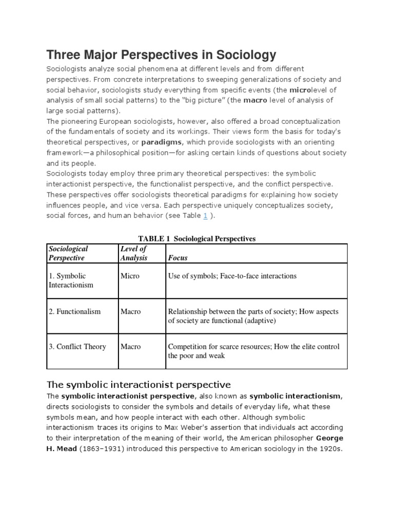 Key Sociological Perspectives Explained | PDF | Politics