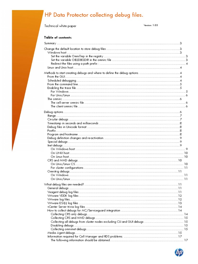 DEBUG White Paper | PDF | Windows Registry | Debugging