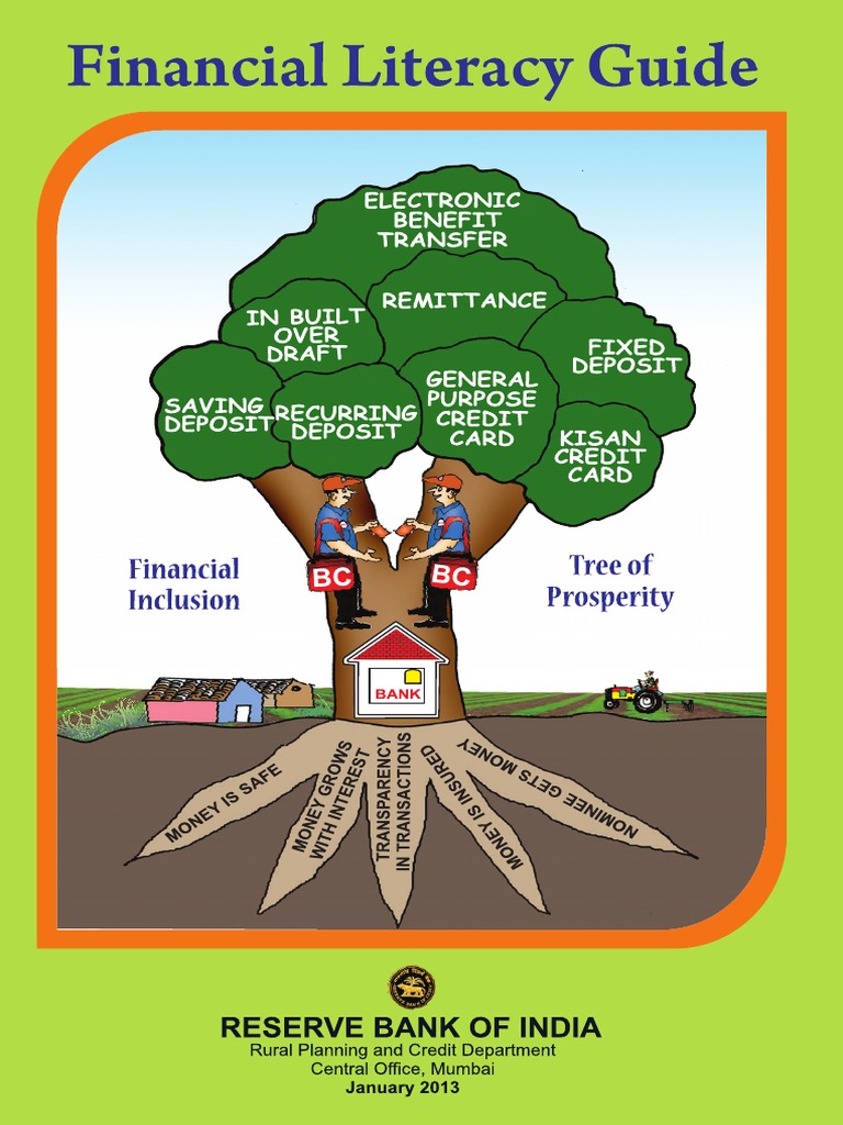 Financial Literacy Guide | PDF | Loans | Overdraft