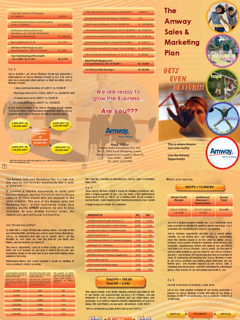 Amway Sales & Marketing Plan Overview | PDF | Multi Level Marketing ...