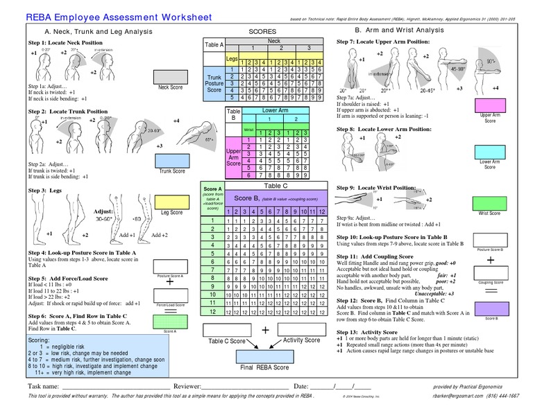REBA Worksheet | PDF | Anatomical Terms Of Motion | Business