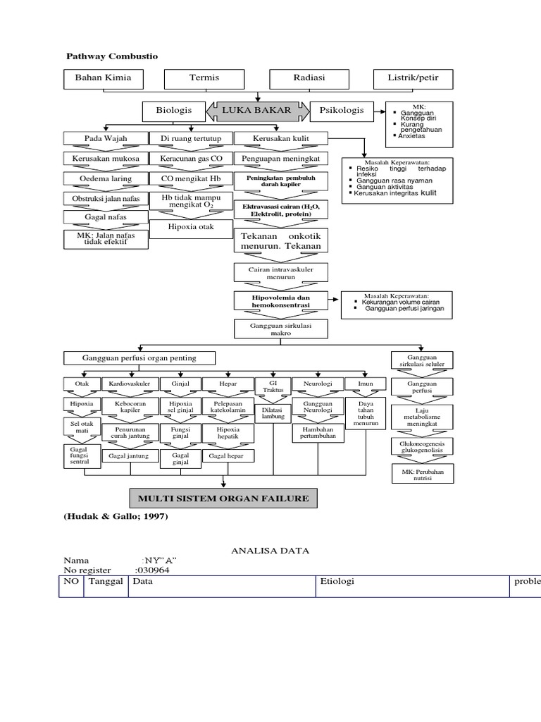 Pathway Combustio | PDF | Kesehatan Holistik