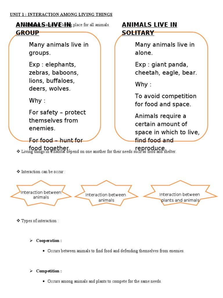 Animals Live in Solitary Animals Live in Group: Unit 1: Interaction ...
