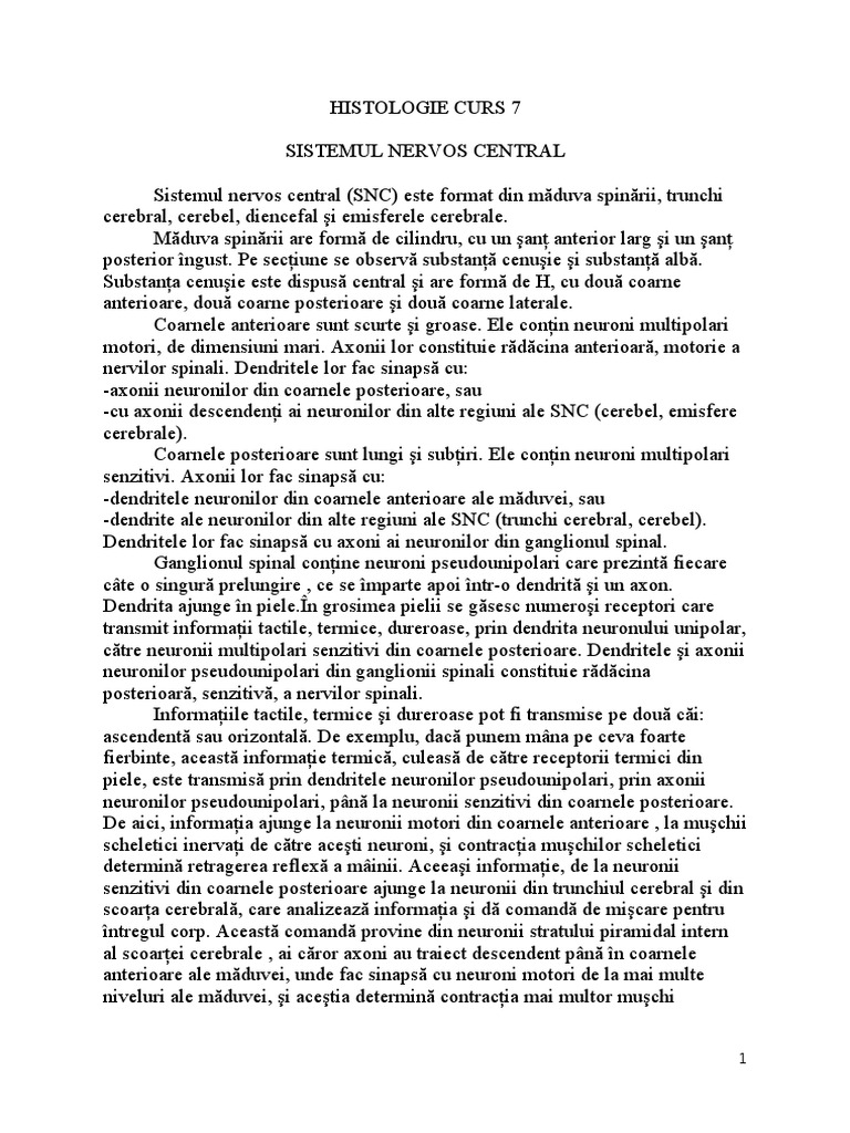 HISTOLOGIE Curs 7 Sistemul Nervos Central | PDF