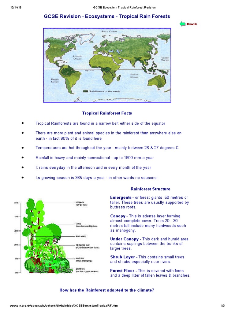 GCSE Ecosystem Tropical Rainforest Revision | PDF | Rainforest | Trees