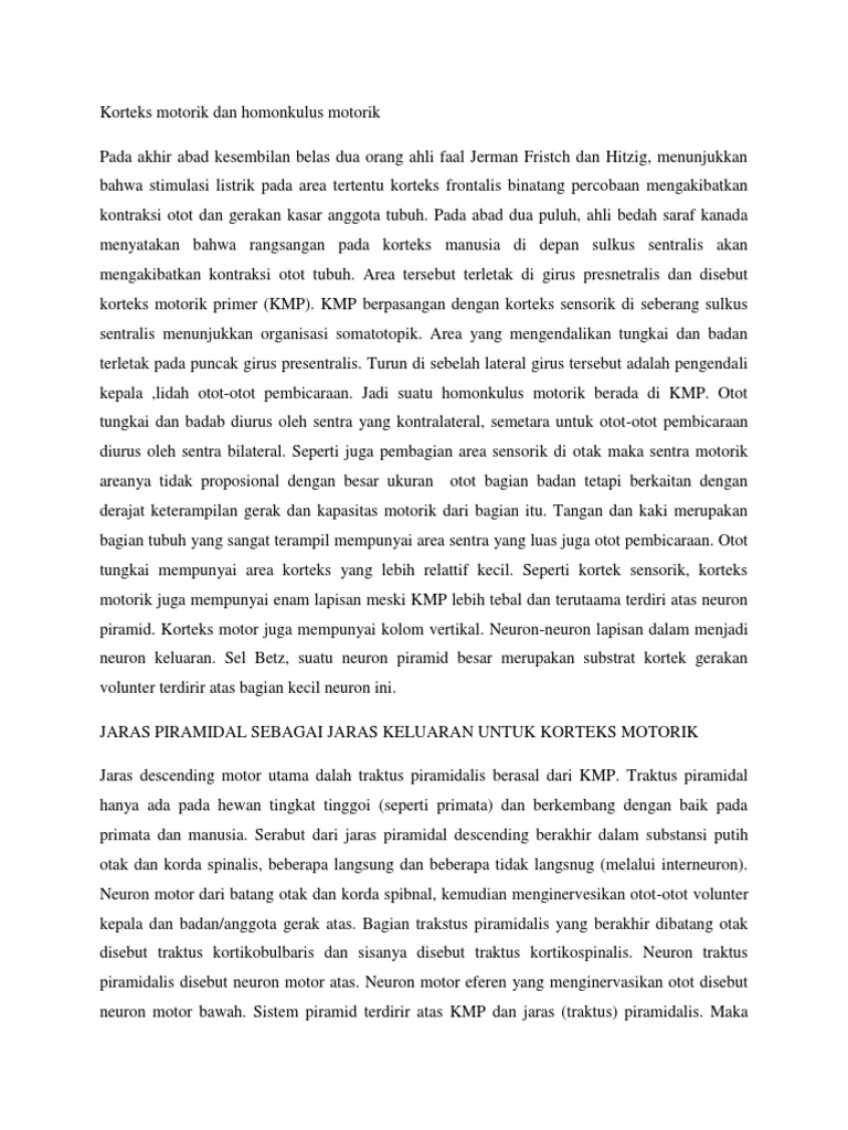 Anatomi dan Fungsi Korteks Motorik | PDF