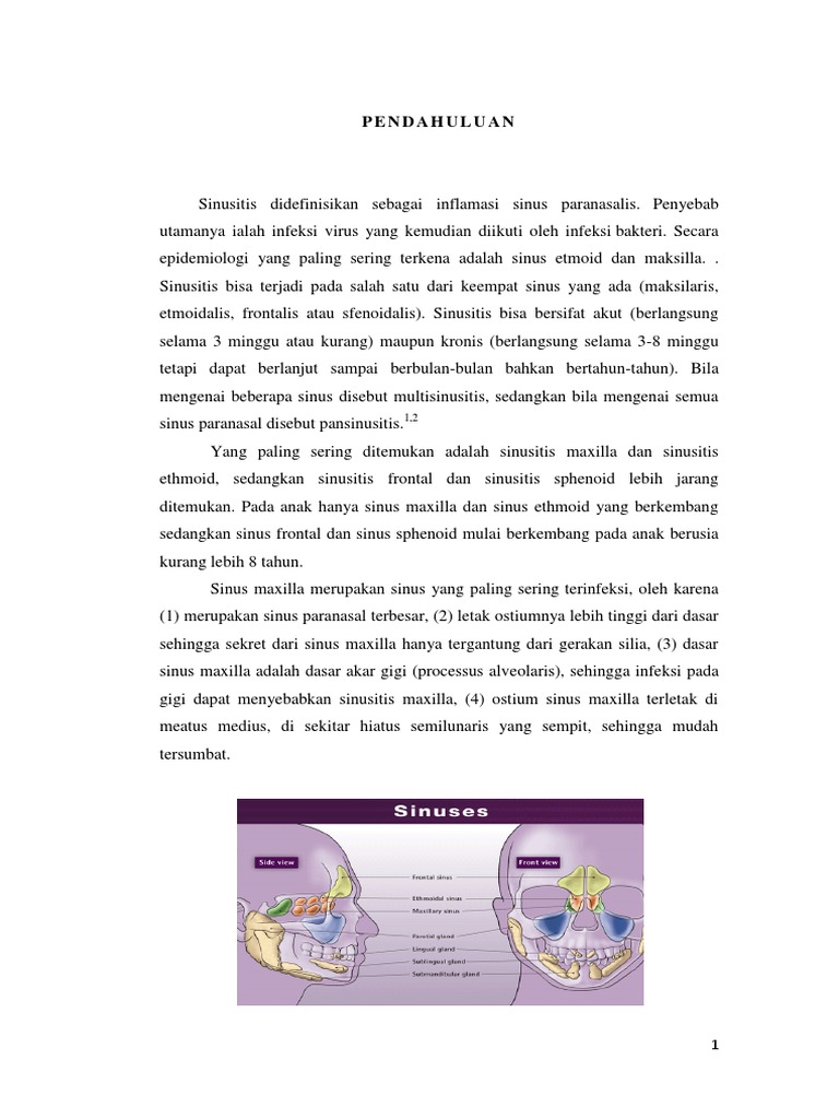 Referat Sinusitis | PDF