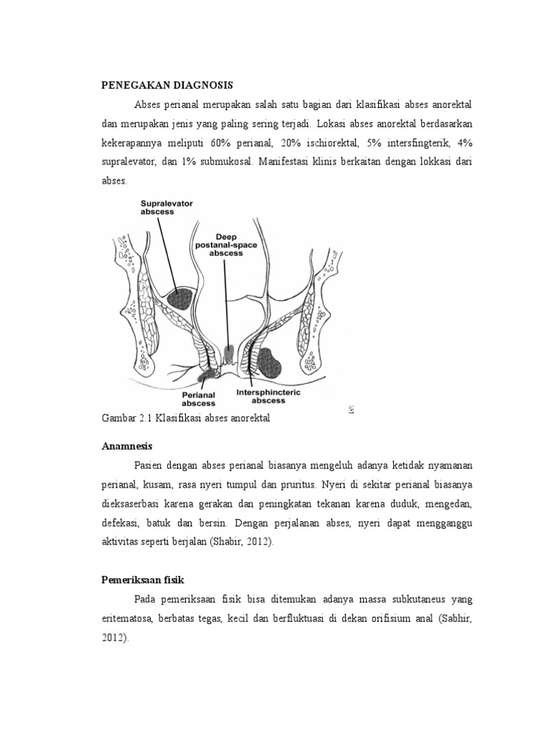 Penegakan Diagnosis Abses Perianal | PDF
