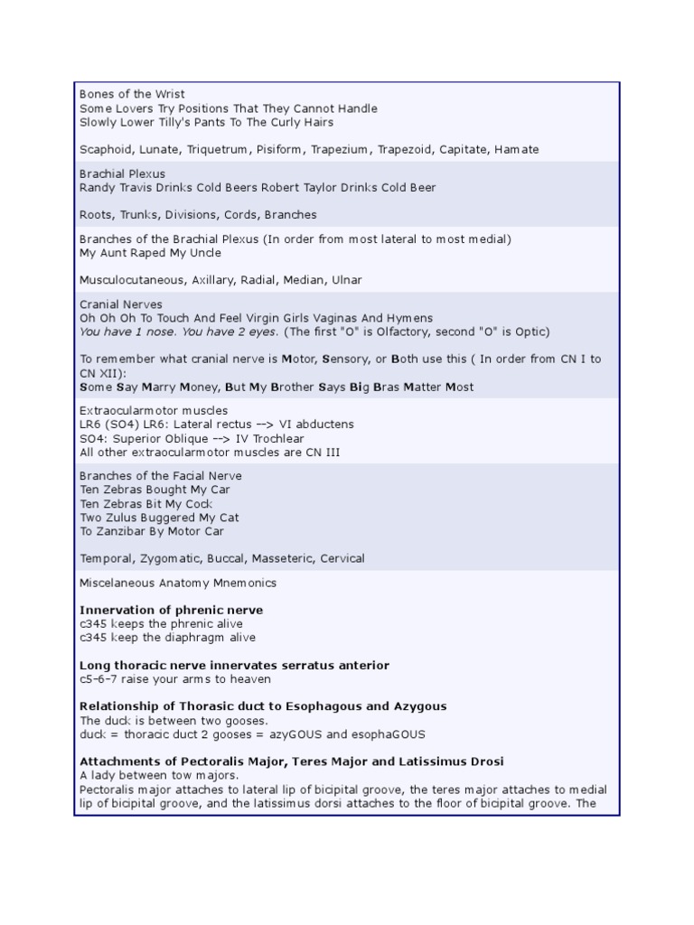 Anatomy Mnemonics and Concepts | PDF