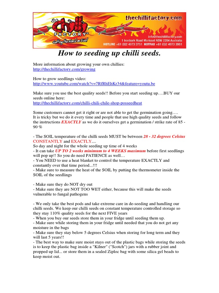 Chilli Seed Germination Guide | PDF | Seed | Germination