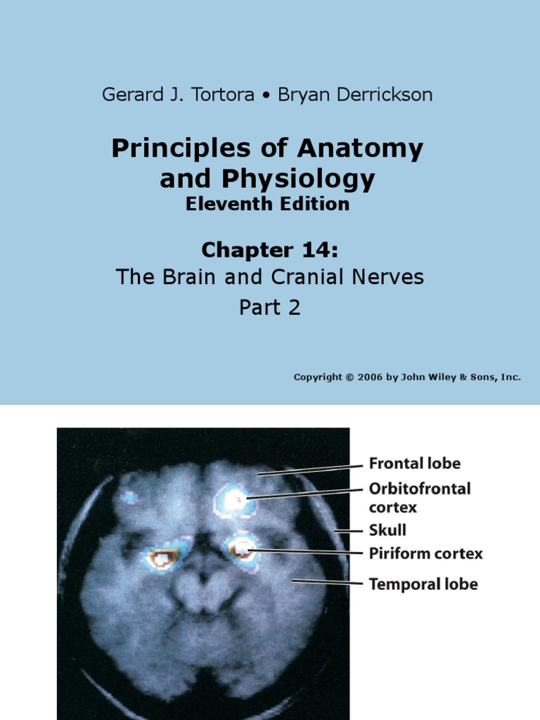 Principles of Anatomy and Physiology: Gerard J. Tortora - Bryan ...