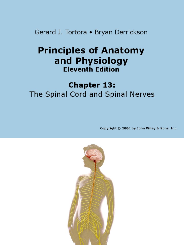 Principles of Anatomy and Physiology: Gerard J. Tortora - Bryan ...