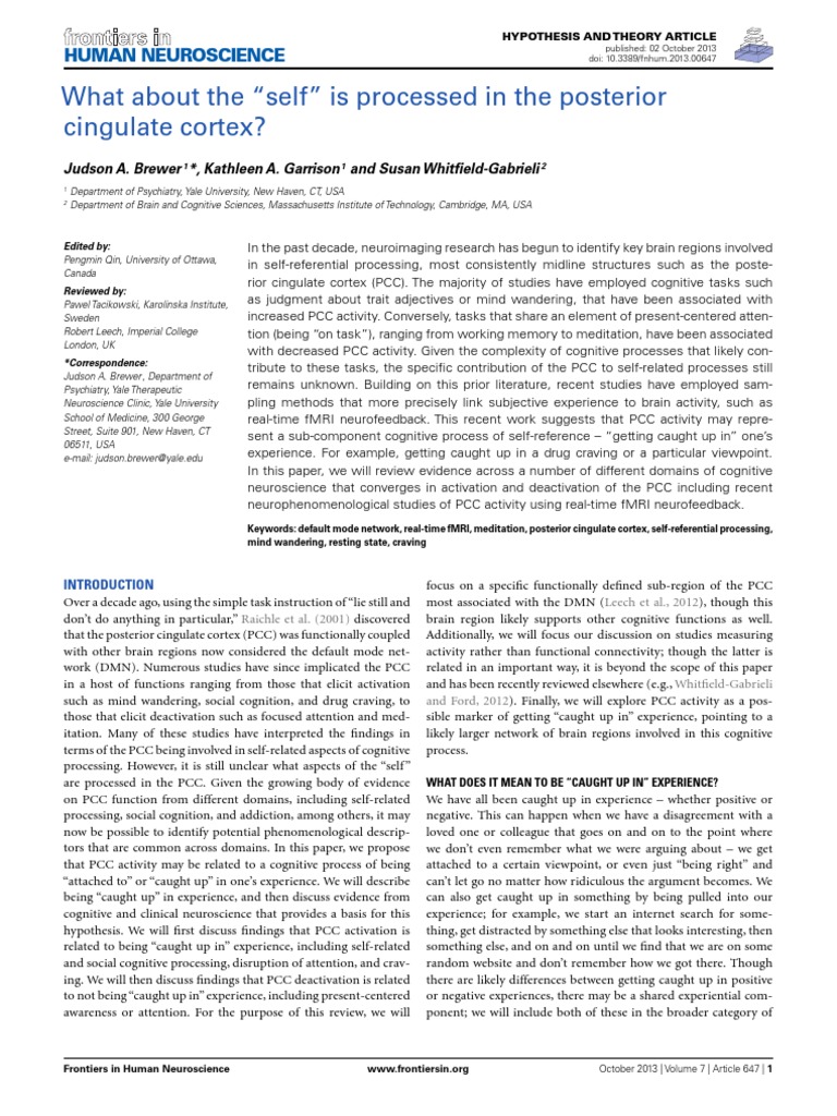 Self Cingulo Posterior | Download Free PDF | Mind Wandering | Attention