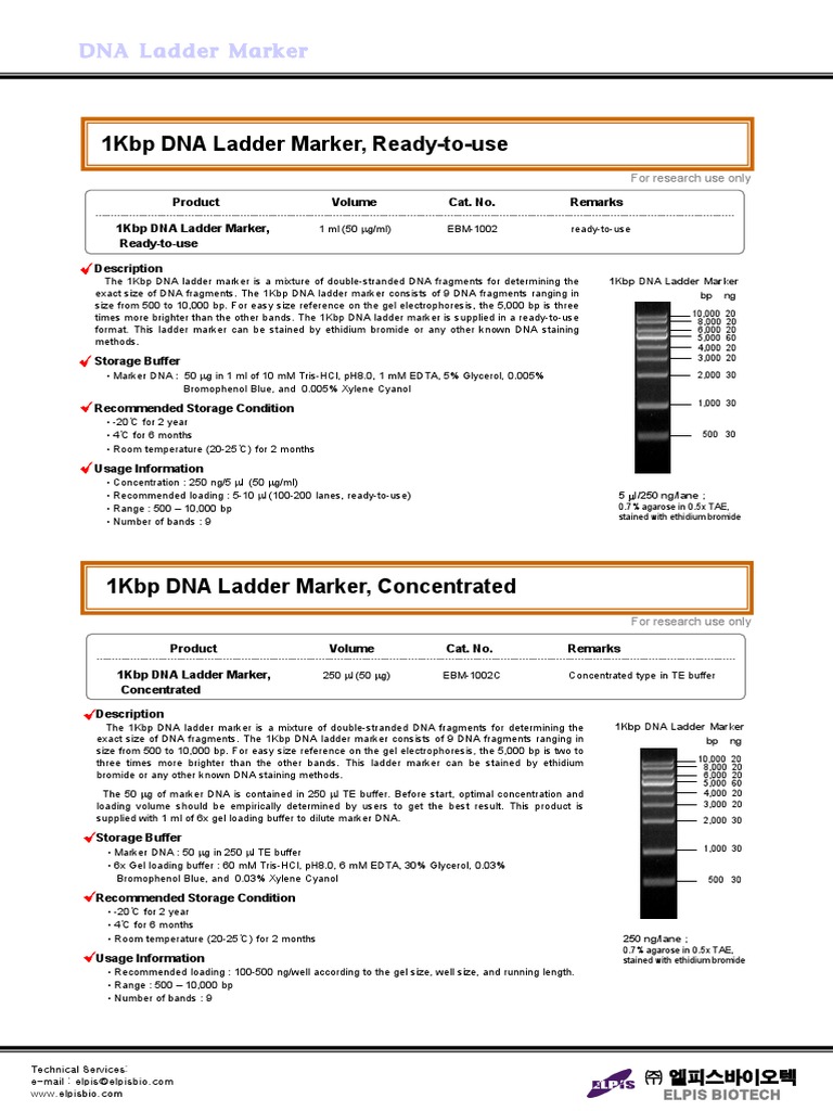 1Kbp DNA Ladder Marker Ready-to-Use | PDF | Agarose Gel Electrophoresis ...