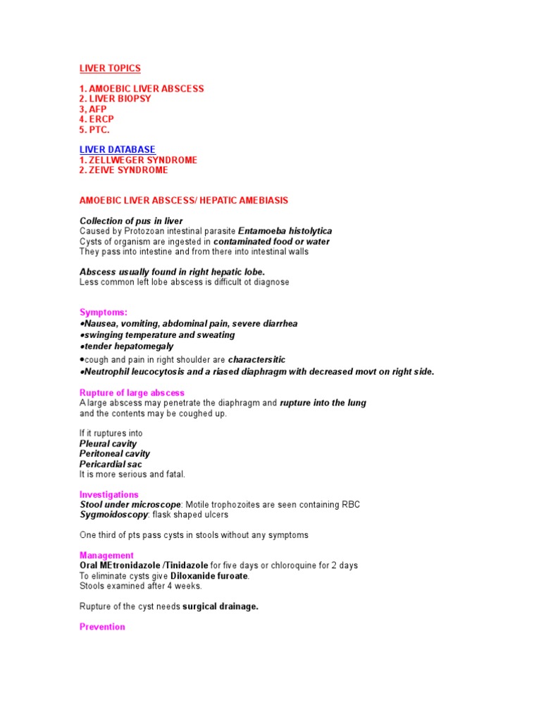 Liver One | PDF | Liver | Gastroenterology