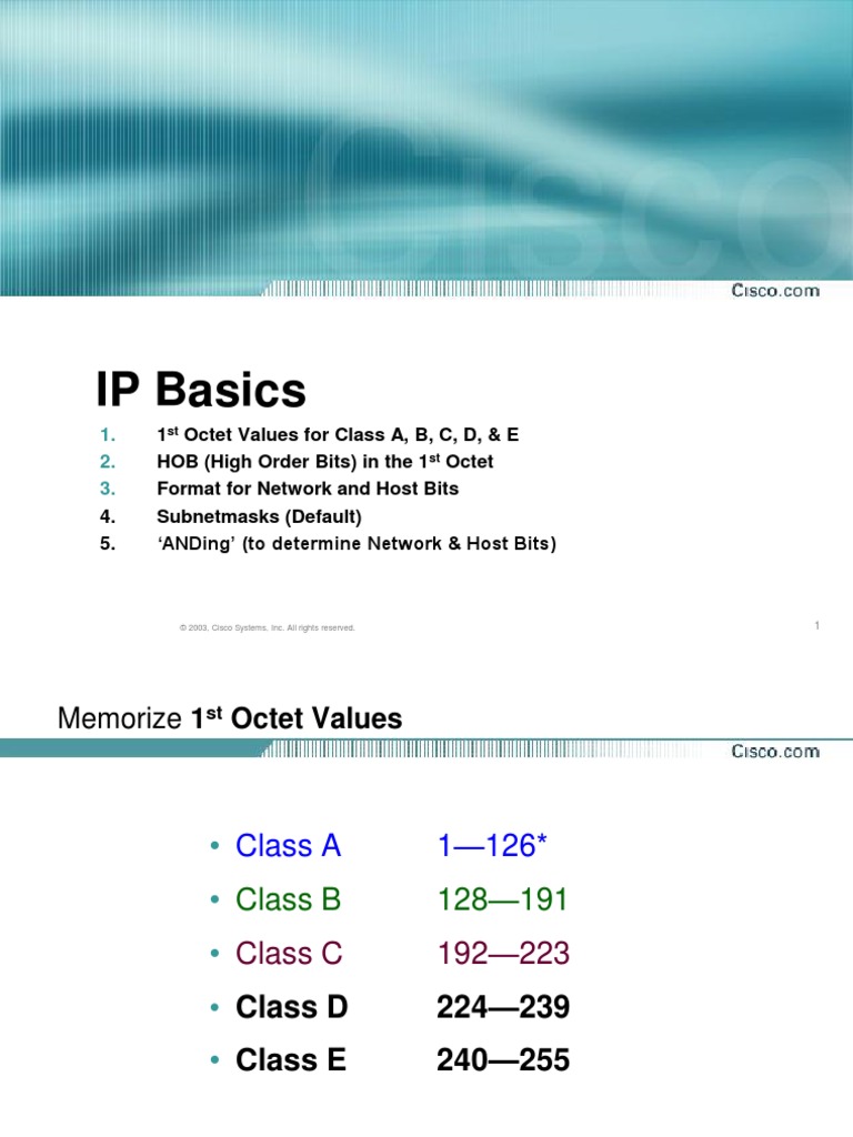 Ips Basics | PDF | Ip Address | Bit