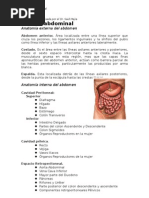 Principales Signos Abdominales | PDF | Tracto gastrointestinal | Abdomen