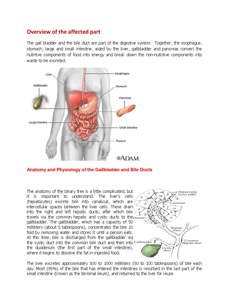 Cholangiocarcinoma, Gallbladder Cancer, Common Bile Duct, Cystic Duct ...