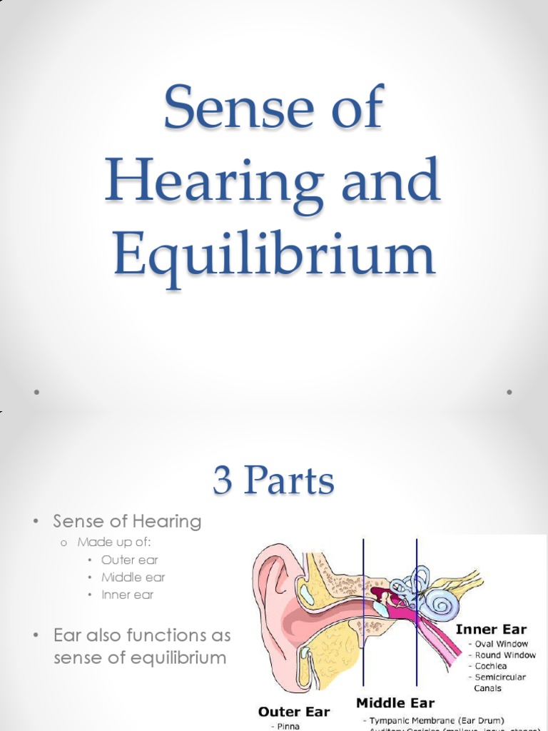 Hearing and Equilibrium Functions Explained | PDF | Ear | Hearing