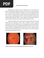 Refka Meningitis | PDF