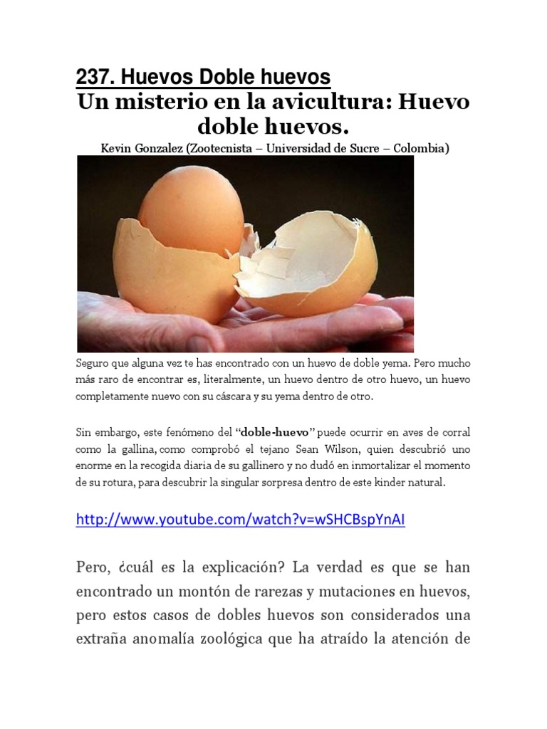 Huevos Doble Huevos | PDF | Huevo como alimento | Huevo