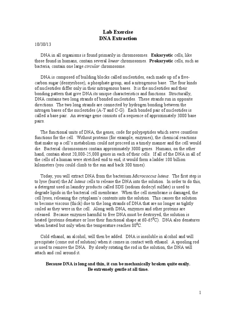 DNA Extraction Lab: Isolating Genetic Material from Bacterial Cells ...