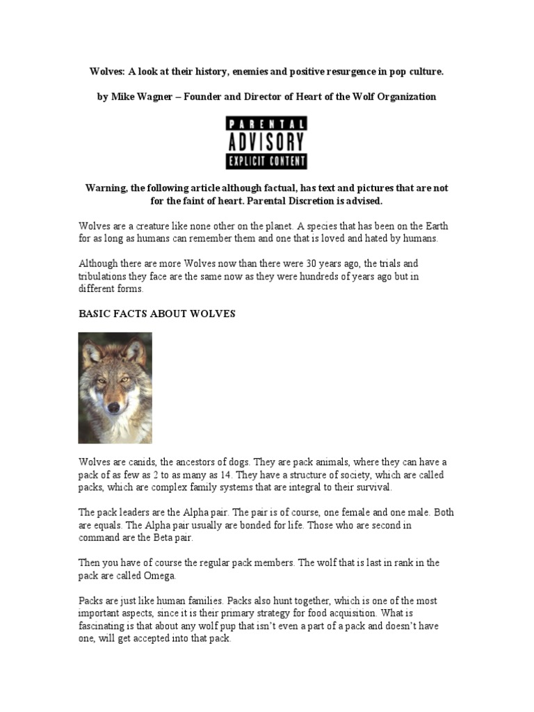 Wolves. A Look at Their History, Enemies and Positive Resurgence in Pop ...