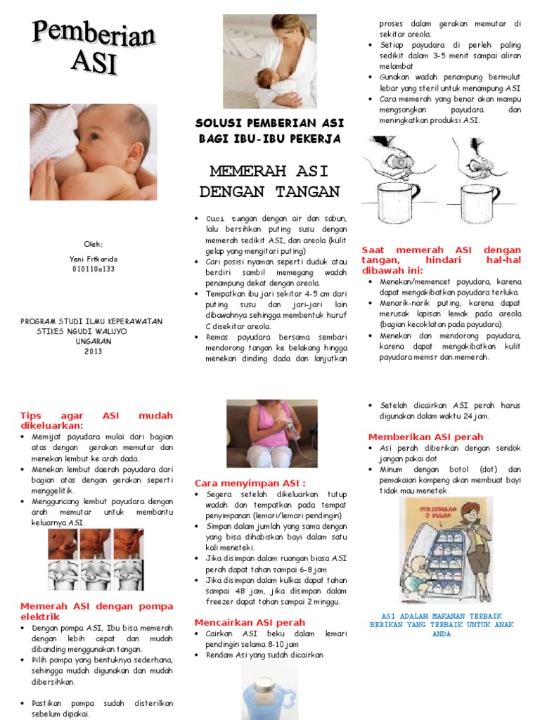 Leaflet ASI Perah | PDF