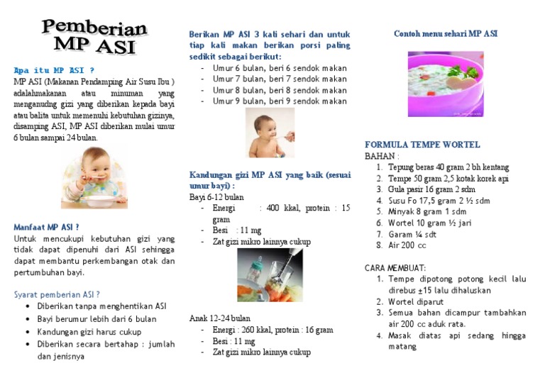 Leaflet MP ASI | PDF