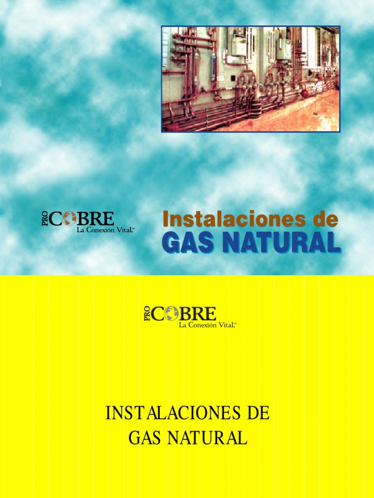 Manual Gas Natural | PDF