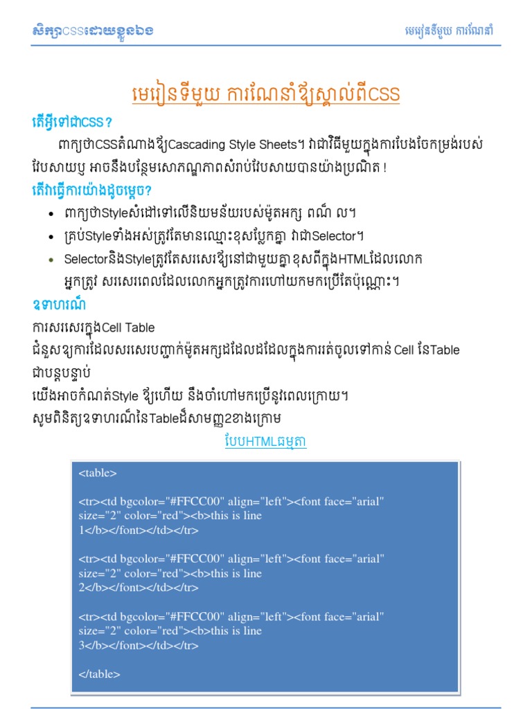 CSS Khmer Lesson | PDF
