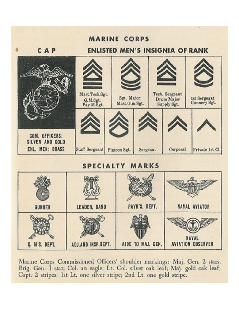 WW2 USMC EM Insignia of Rank | PDF | Business