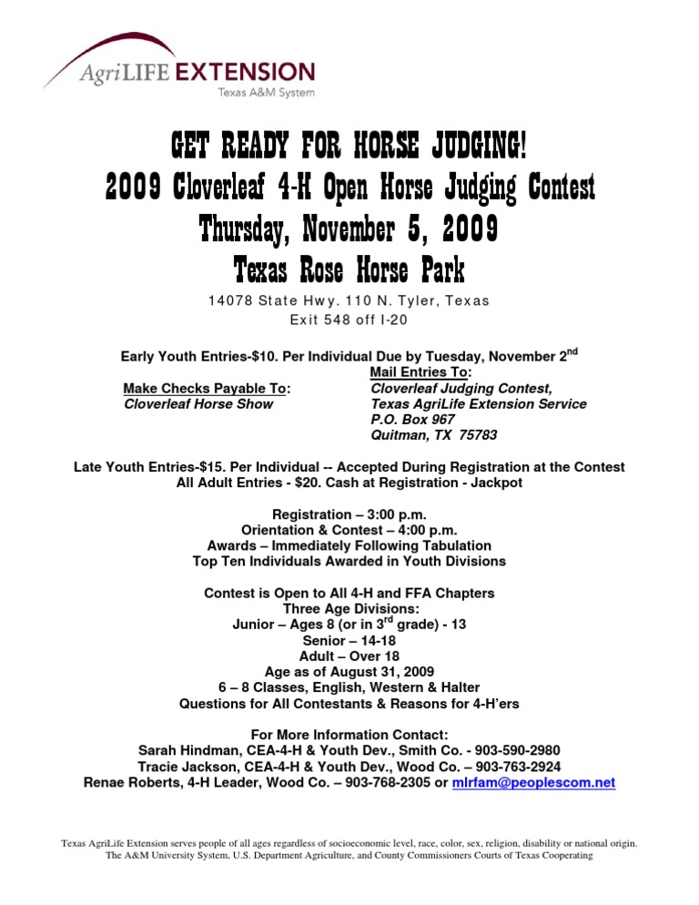 Horse Judging - Flyer | PDF