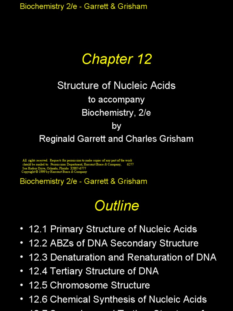 Nucleic Acids Structure Definition Examples Types