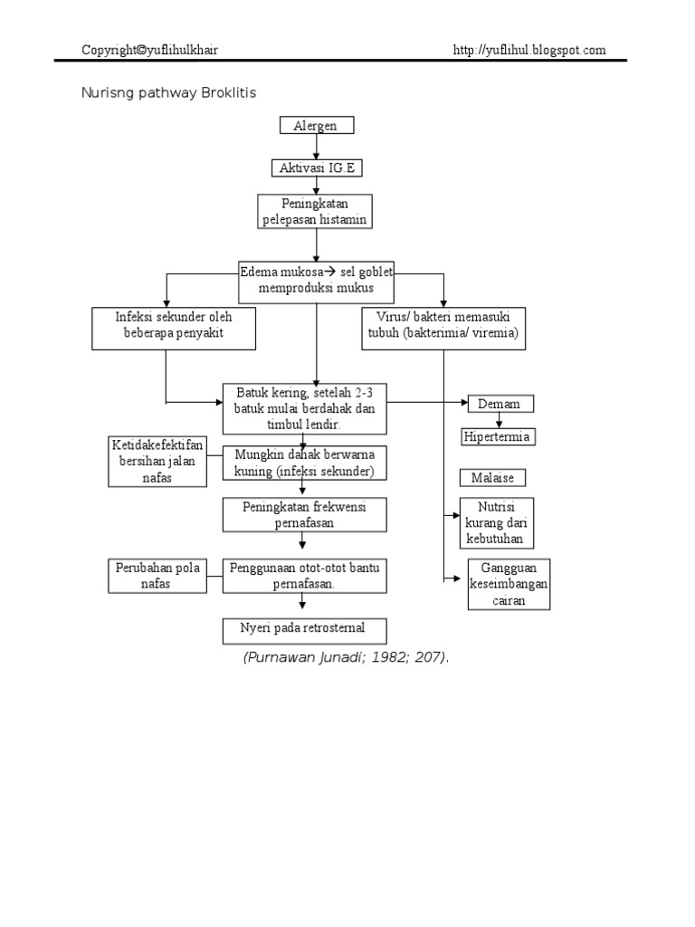 Pathway Bronkitis | PDF