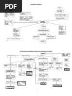 Pathway Vertigo | PDF