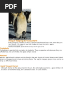 Fact vs Opinion: Penguins Game | PDF