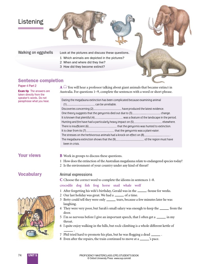 0 19 432912 7 C | PDF | Extinction | Megafauna