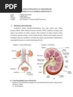 patofisiologi urolithiasis