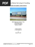 08. DAMAGE REPORTS.doc | Stevedore | Cargo