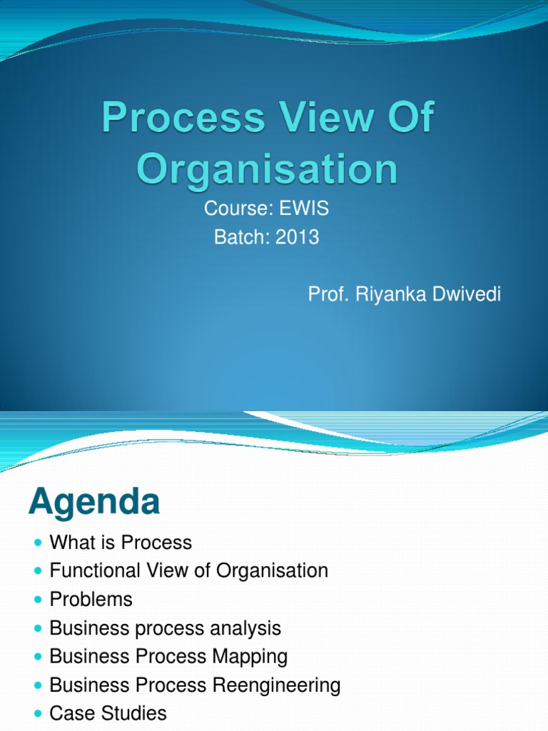 Process View of Organisation | PDF | Business Process | Business