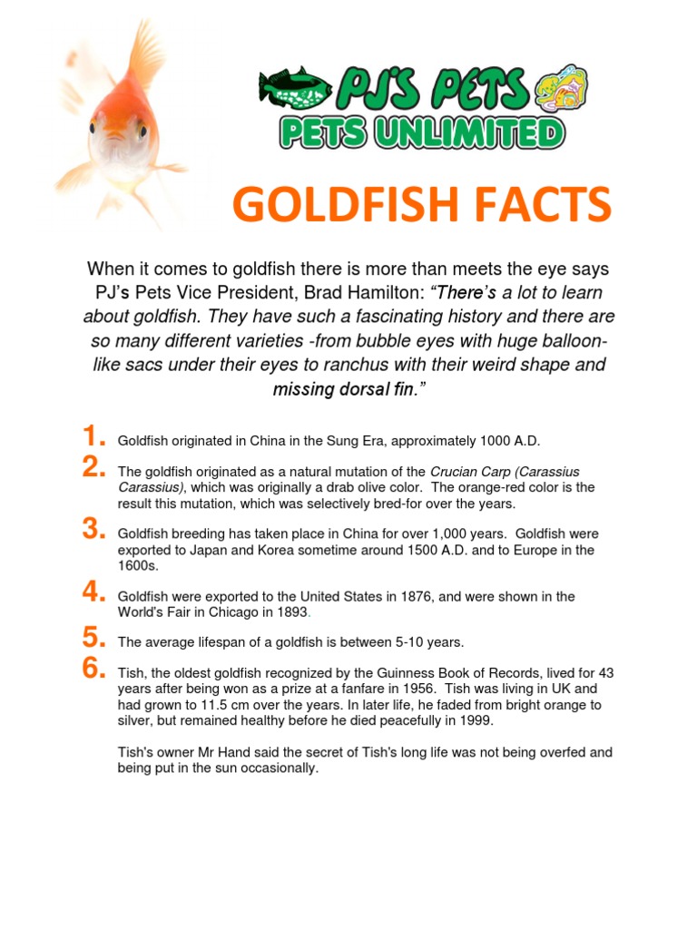 Goldfish Facts | PDF | Aquarium | Water