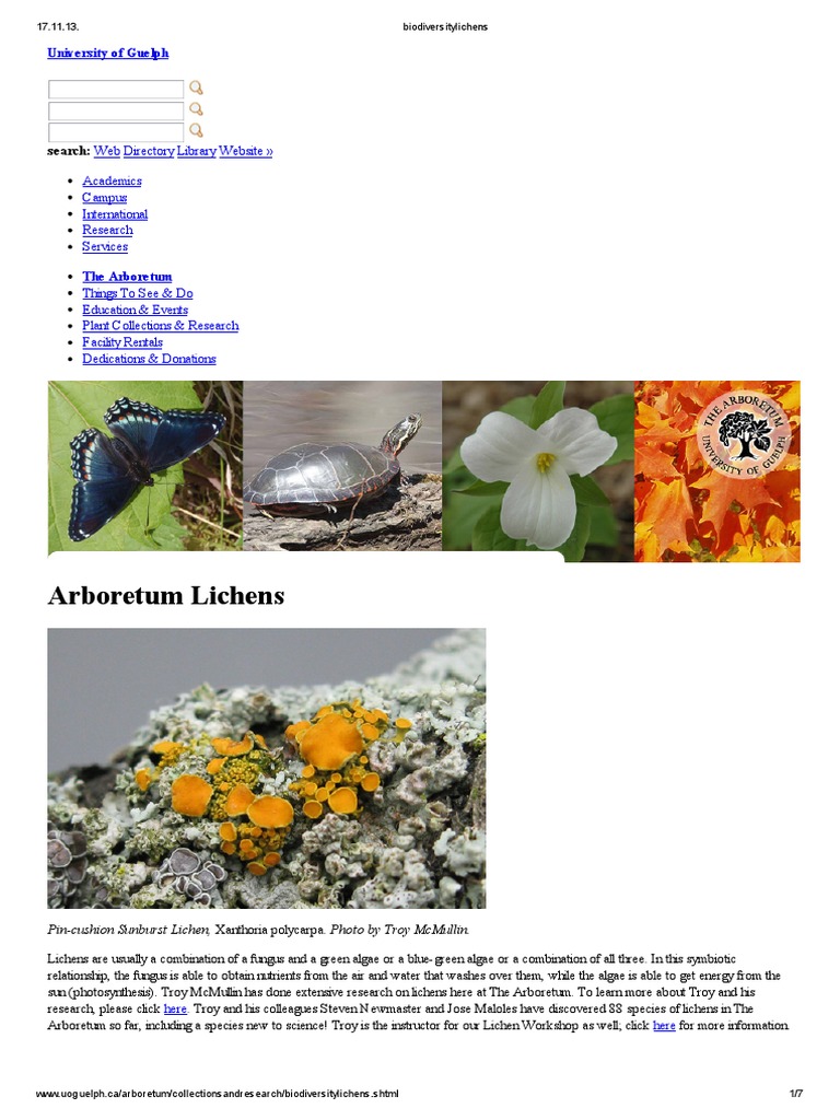 Biodiversity Lichens | PDF | Fungus | Botany