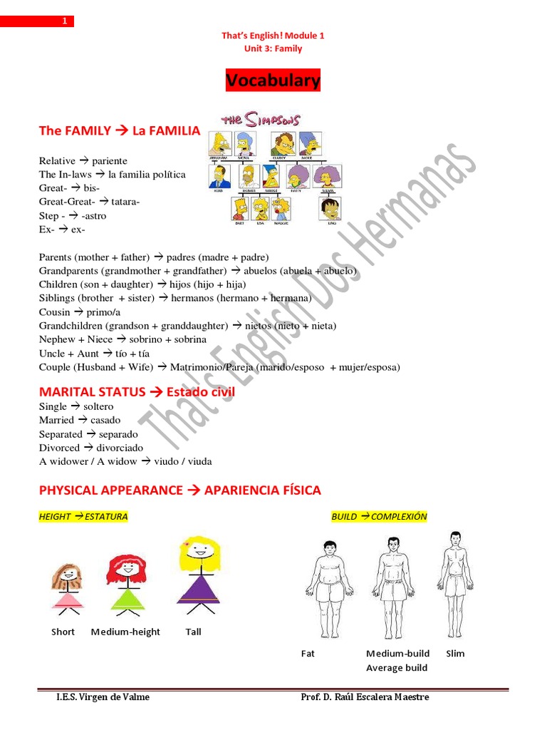 Vocabulary: The Family La Familia | PDF | Plural | Linguistics