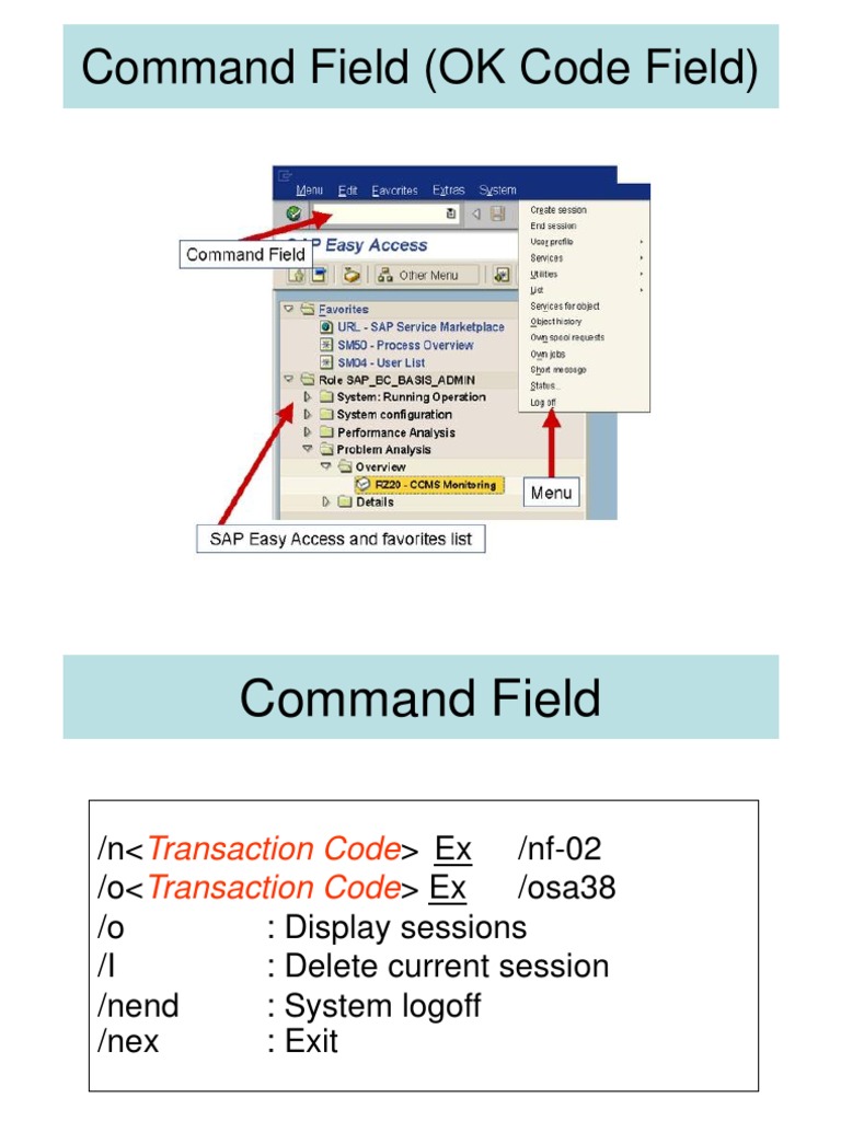 Command Field (OK Code Field) | PDF